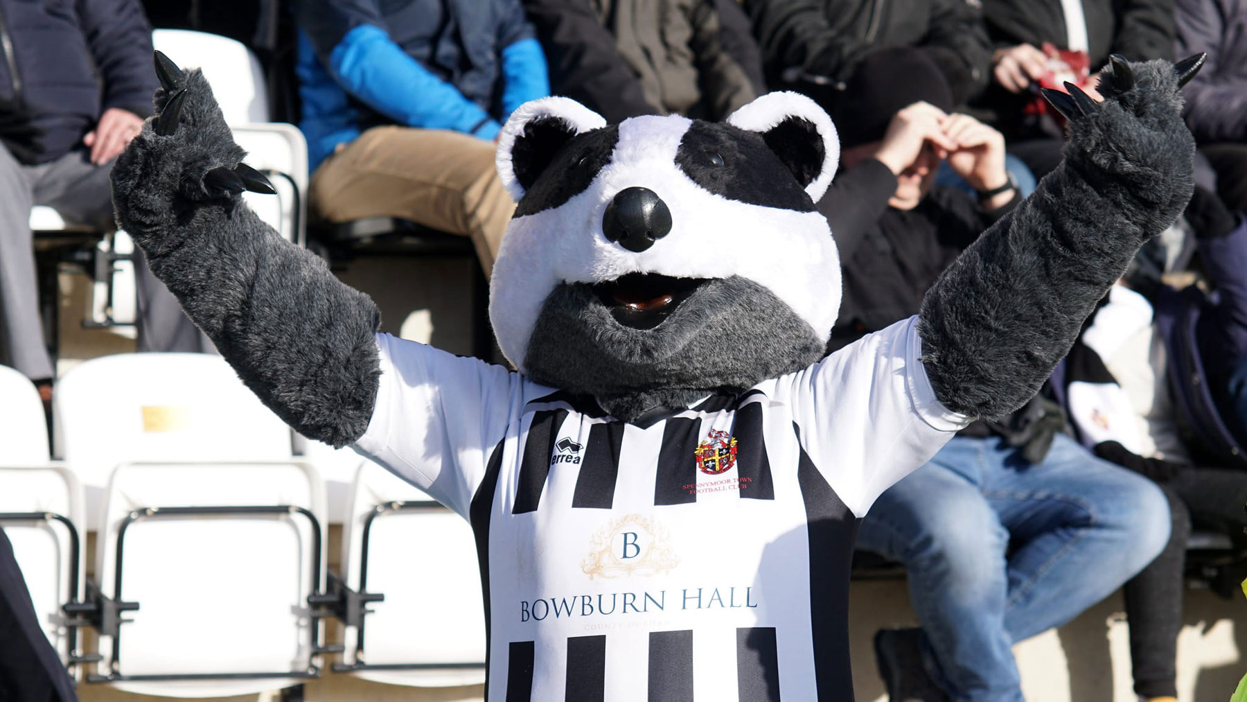 Vacancy: Brewery The Badger - Spennymoor Town FC